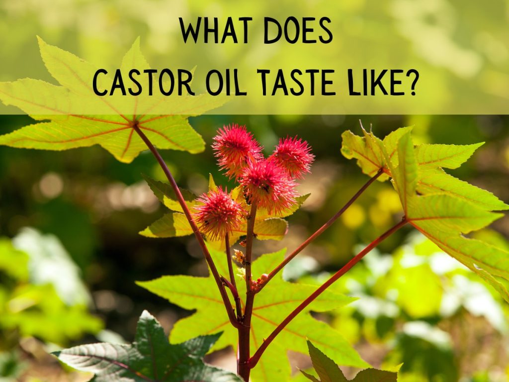 What Does Castor Oil Taste Like? Unveiling The Organoleptic Properties ...